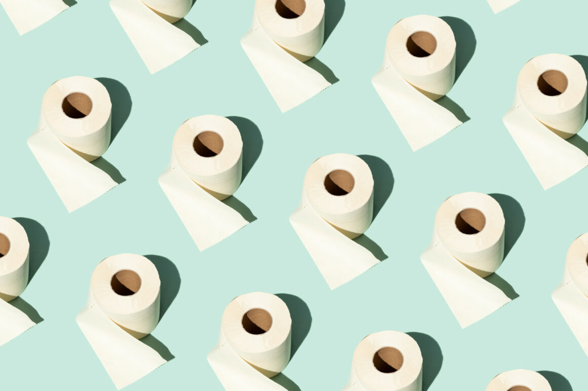 7 Eco-Friendly Toilet Papers For a More Sustainable Bathroom